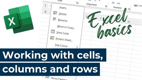 Techify Learning On Linkedin Microsoft Excel Back To Basics