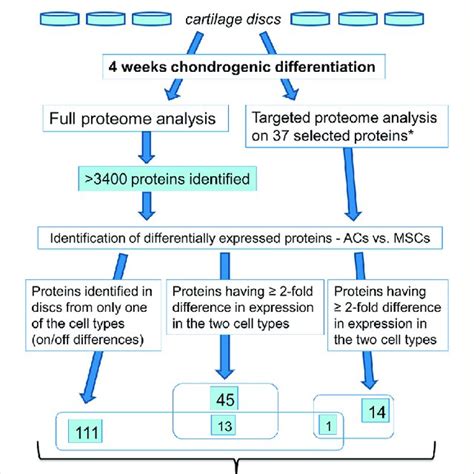 Overview Of Proteomics Analysis Based On The 3 400 Identified