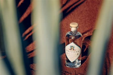 Review Tequila Pantalones Blanco Drinkhacker