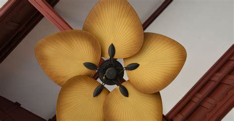 Ceiling Fan Tips Tricks To Save Energy Life S Dirty Clean Easy