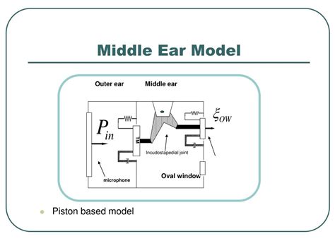Ppt Simulation Of A Cochlear Model As A Descriptive Tool For Normal