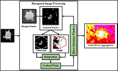 Hexagonal Image Processing Hip Download Scientific Diagram