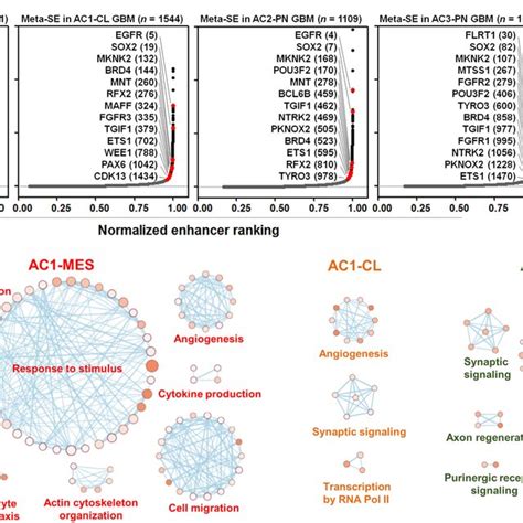 Subgroup Associated Se Domains And Disease Pathways In Gbm A