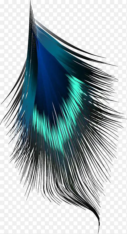 美丽的孔雀羽毛图案PNG图片素材下载 图片编号qdwdpjoy 免抠素材网