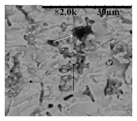 Scanning Electron Microscope Sem On Fractured Surface Of The