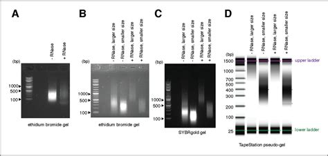 Figure From Profiling Of Transcription Factor Binding Events By Chromatin Immunoprecipitation