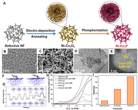 Modulation Strategies Of Electrocatalysts For 5 Hydroxymethylfurfural Oxidation Assisted Water