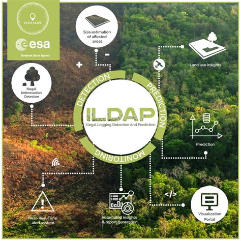 Illegal Logging Detection And Prediction Ildap