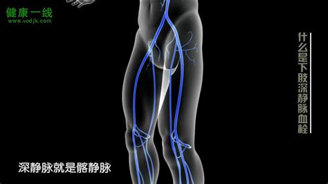 深静脉 掌静脉 面深静脉 大山谷图库