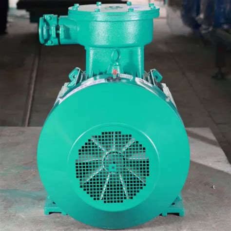Ybx Series Explosion Proof Induction Electric Motor For Factory Use In Explosive Gas