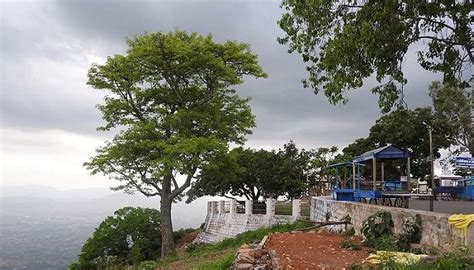 Places To Visit In Yercaud In 1 Day And Explore All The Top Ones