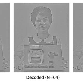 Input Images Can Be Linearly Decoded From The Sparse Output