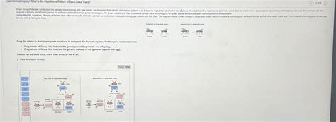 Solved Experimental Inquiry What Is The Inheritance Pattern