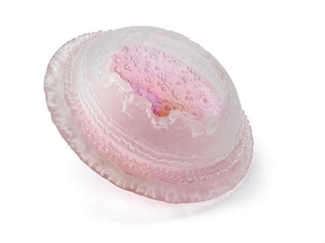 Genesis By William Lequier On Artnet