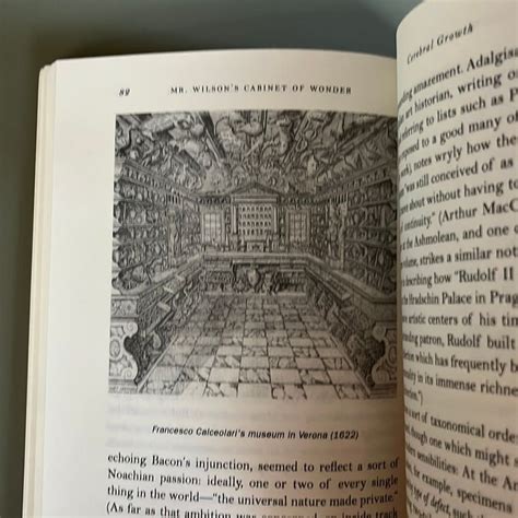 Mr Wilsons Cabinet Of Wonder By Lawrence Weschler Paperback Pangobooks