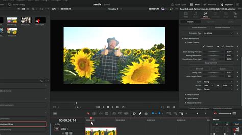 8 Best Davinci Resolve Plugins To Improve Your Workflow Storyblocks