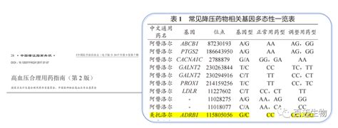 又一新品高血压个体化用药再添利器百迈生物ADRB1基因分型检测试剂盒获批上市 杭州百迈生物股份有限公司