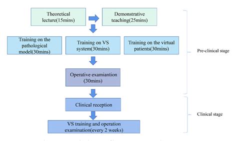 Figure 4 From The Application Of Virtual Simulation Technology In Scaling And Root Planing