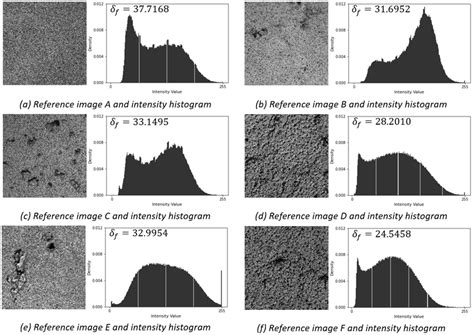 Speckle Patterns And Intensity Histograms Of Reference Images Download Scientific Diagram