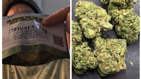 Pinyatti Thca Small Buds Private Reserve Hemp 🍍⛱️ Youtube