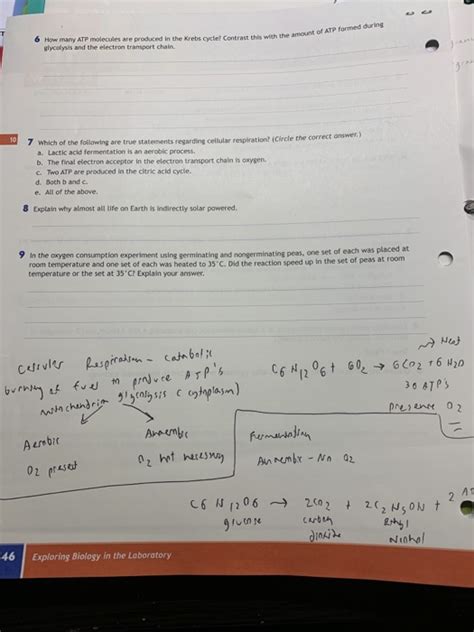 6 How Many ATP Molecules Are Produced In The Krebs Chegg Com