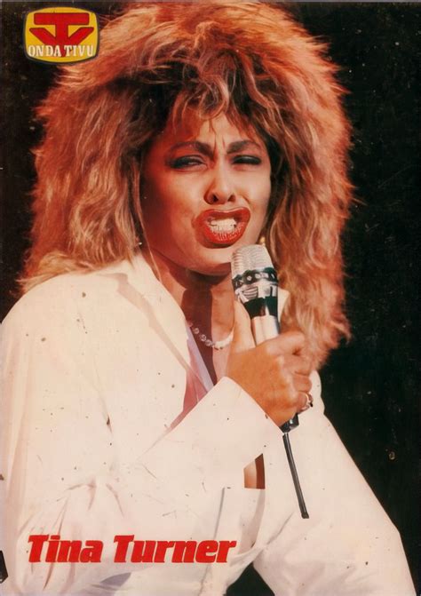 Tina Turner Cantores Rock Clássico Tina Turner