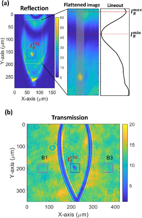 Examples Of The Reflection And Transmission Data Analysis The Data