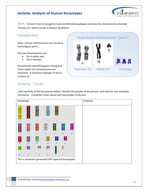 Human Karyotype Analysis Gender And Trisomy 21