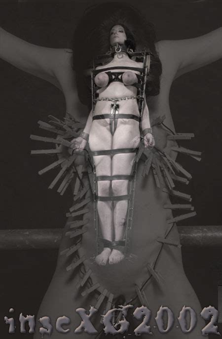 INSEX ARCHIVES Updates