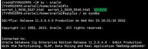 Su Oracle和su Oracle的区别 Csdn博客