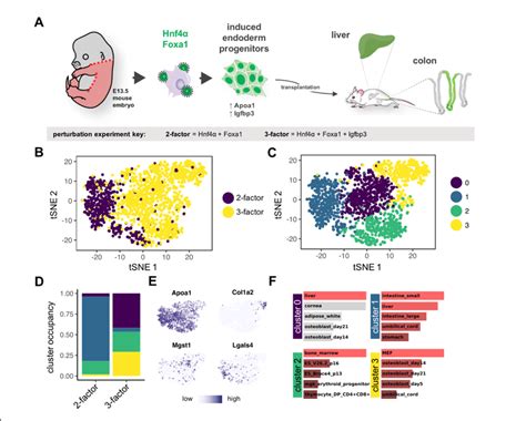 Celltag Indexing Enables Multiplexing Of Direct Lineage Reprogramming