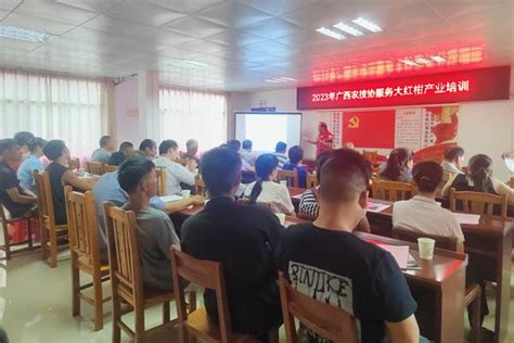 广西农技协到浦北开展大红柑技术培训澎湃号·政务澎湃新闻 The Paper