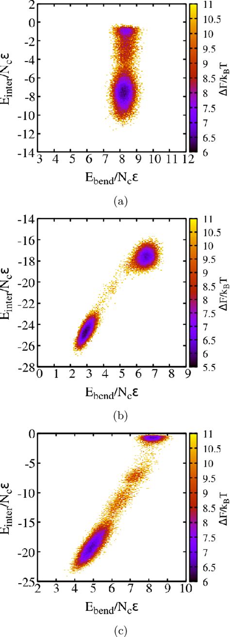 Figure 1 From Phase Behaviour And Self Assembly Of Semiflexible