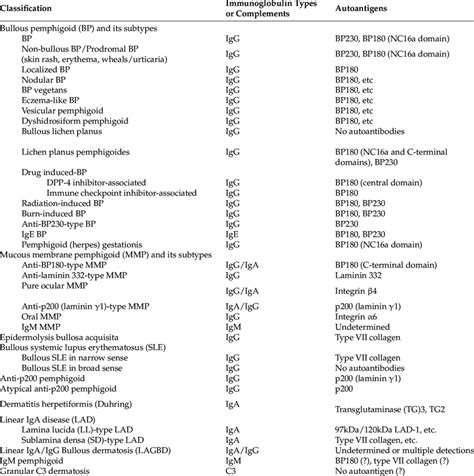Classification Immunoglobulin Types And Autoantigens Of Pemphigoid Download Scientific Diagram