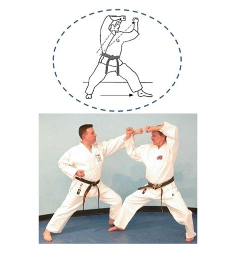 Haiwan Uke Projeto Shotokan Karatê Do