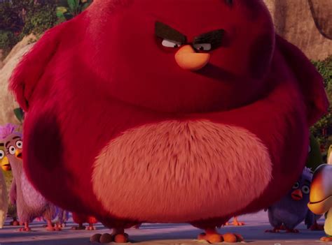 Imagenes De Angry Birds Cortes De Pelo Largo Con Flequillo