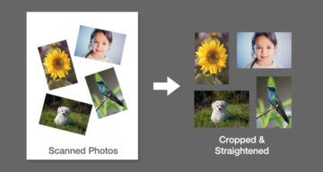 How To Move Body Parts In Photoshop And Change Poses Like A Pro