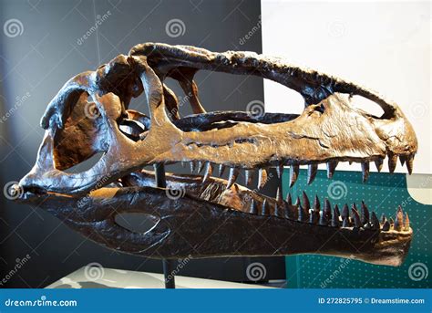 Guia De Domesticação De Skeletal Giganotosaurus Ajpii
