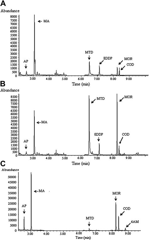 Gas Chromatographymass Spectrometry Selectedion Monitoring Gcms Sim
