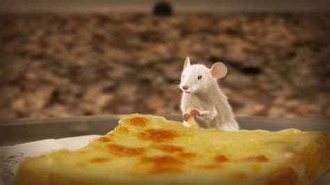 Simia Animation Studio Uk