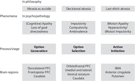 Three Levels Of Explanation Are Distinguished In Our Model 1
