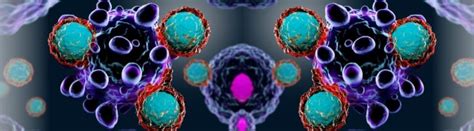 Can You Use Ngs Panels To Test For Tumor Mutational Burden