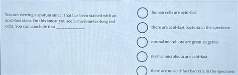 Solved You Are Viewing A Sputum Smear That Has Been Stained