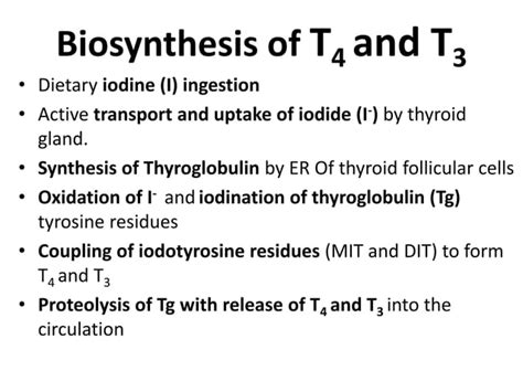 Thyroid Hormone Synthesis Ppt Thyroid Disorders Endocrine And Metabolic Diseases