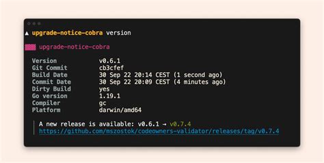 Importable Go Package To Present Your Cli Version In A Classy Way All Magic Included