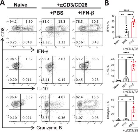 Cd8⁺ T Cells Produce Regulatory Molecules Upon Tcr And Ifn‐β Download Scientific Diagram