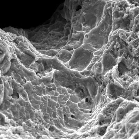 Electron Microscopy And Microanalysis Aqm
