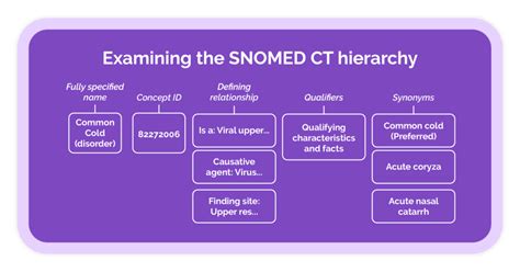 Snomed Ct 101 A Guide To The International Terminology System Imo