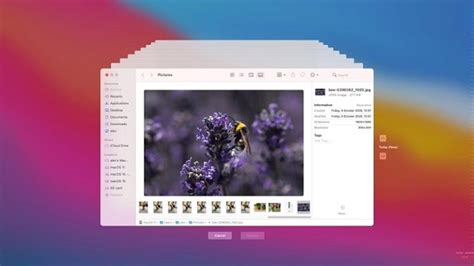 2025 Top 7 Ways To Recover Deleted Files Mac
