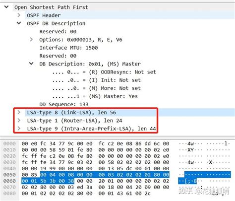 Ospfv3报文格式 知乎